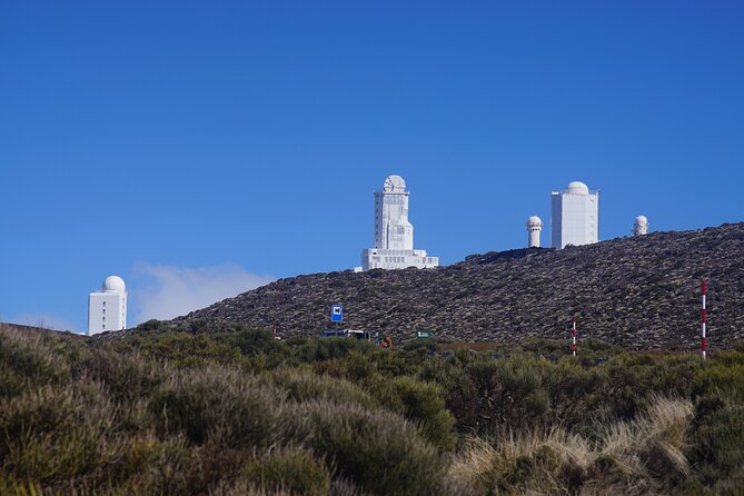 Private Nature and Culture Tour of Teide and Northern Tenerife - Customer Reviews and Testimonials