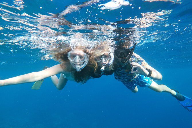 Private nature tour: Aruban mangrove forest & pristine coral reef - Snorkeling at Mangel Halto Beach