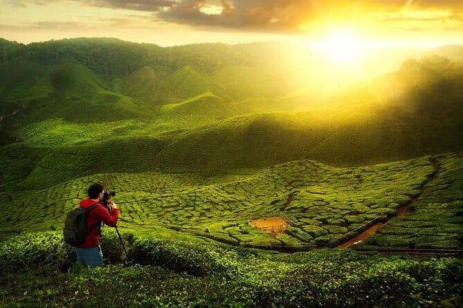 Private Nature Trip to Cameron Highlands from Kuala Lumpur - Key Points