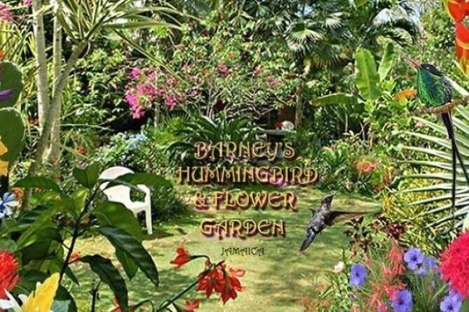 Private Negril Highlights Tour - FAQs