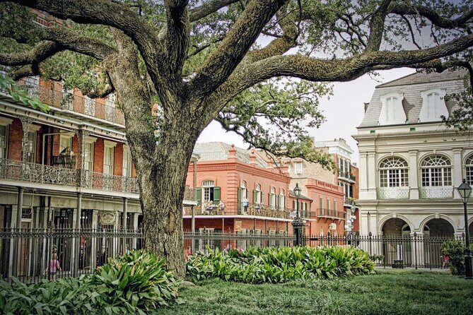 Private New Orleans City Tour - An Overview of the Tour Experience