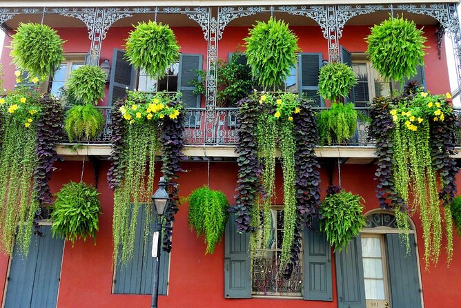 Private New Orleans City Tour With Local Expert Guide - Customized Experiences Tailored to Interests