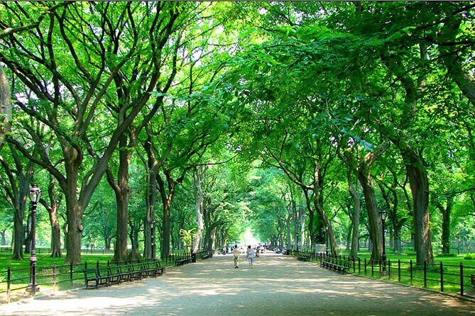 Private New York City Walking Tour: Central Park History and Hidden Secrets - The Itinerary: What You’ll Experience