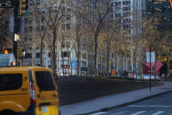 Private New York Downtown Highlights Half Day Tour - Introduction: What Makes This Tour Stand Out
