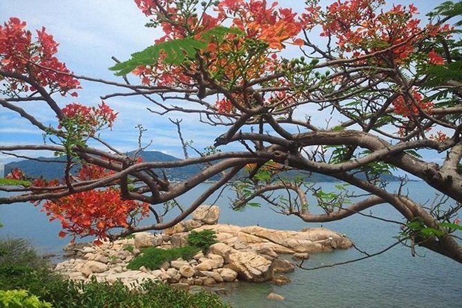 Private Nha Trang city excursion (half day program) - An Introduction to the Private Nha Trang City Tour