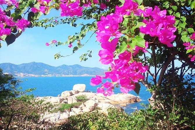 Private Nha Trang city excursion (half day program) - The Practical Side: Transport, Cost, and Comfort