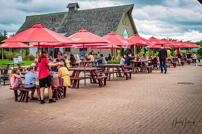 Private Niagara Falls, Niagara-on-the-Lake, Canada - Day Tour with Hotel Pick Up - Practicalities and Considerations
