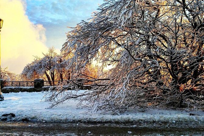 Private Niagara Ice Wine Tour - Final Thoughts