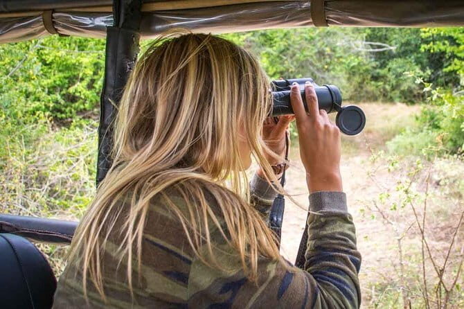 Private : Night Drive in Yala National Park Buffer Zone - Final Thoughts