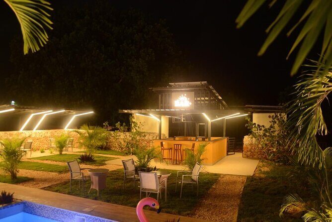 Private Night Tour in Buggy with Party in Punta Cana - Key Points