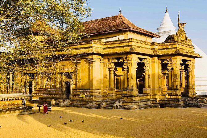 Private Night Tour in Colombo with Street Food Tasting - FAQ