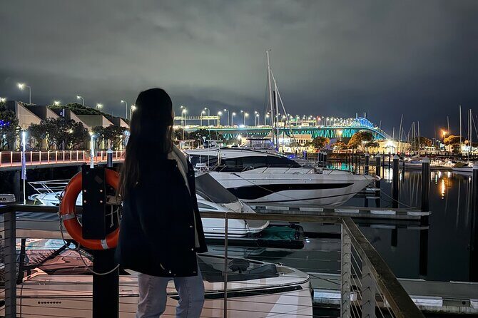 Private Night Tour of Auckland, Sky Tower Bar, Bridge & Museum - The Introduction: A Nighttime Perspective of Auckland