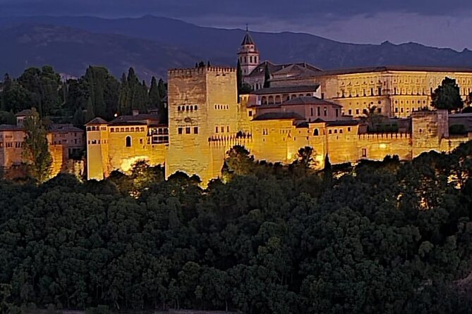 Private Night Tour of the Alhambra in Granada (includes tickets) - Who Should Book This Tour?