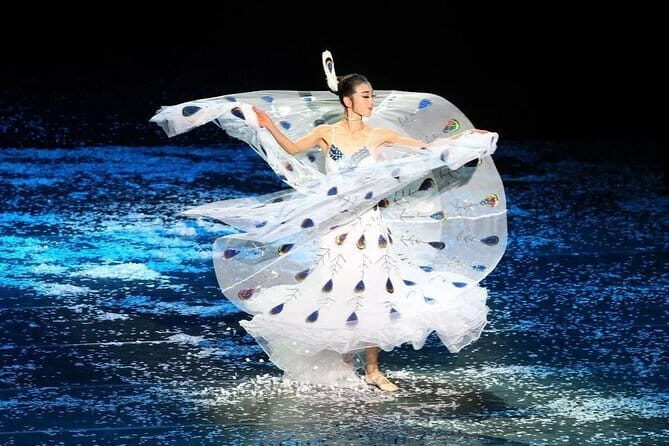 Private Night Tour to Enjoy Dynamic Yunnan Show - Key Points: