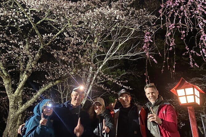 Private Night walk Tour at the foot of Mt. Fuji - The Experience in Detail