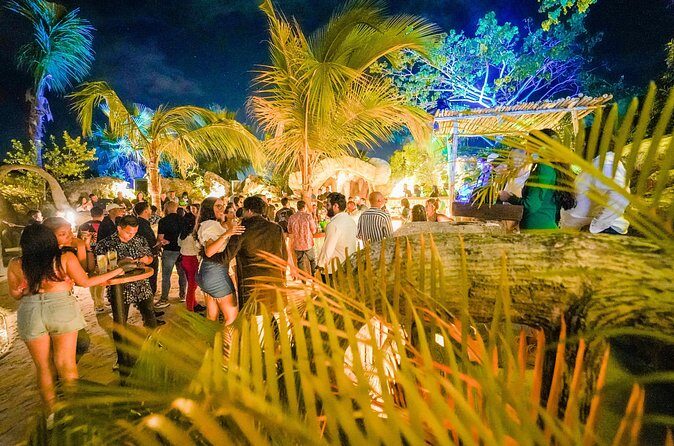 Private Nightlife Tour from Miches to Downtown Punta Cana with After Party - Practical Tips for Participants