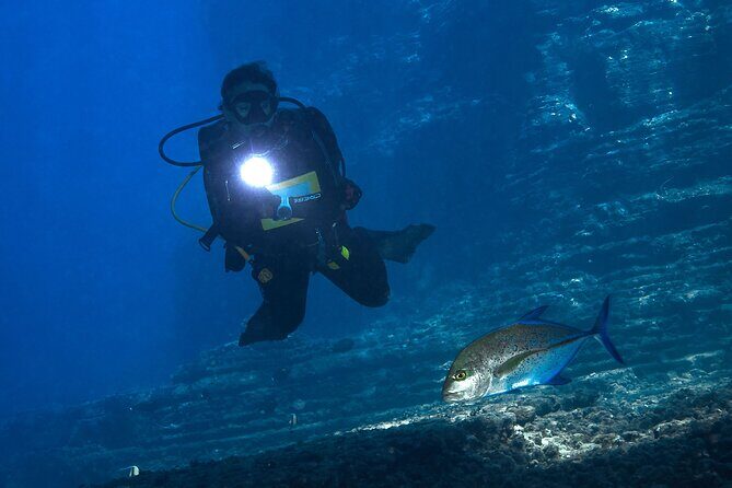 Private Niihau Scuba Charter with 2 or 3 Tank Dive Option - FAQs
