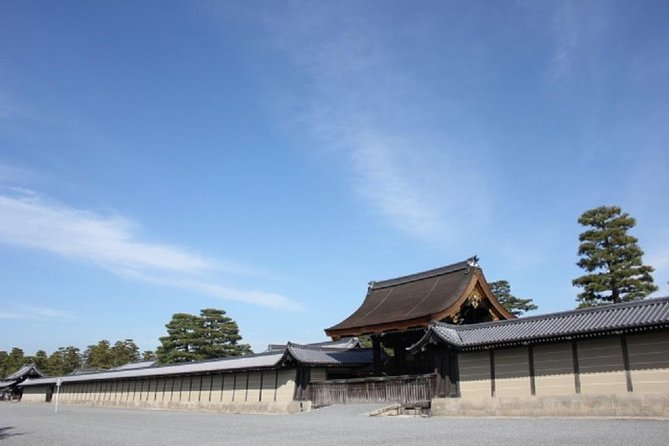 Private Nijo Castle Sightseeing and Nishiki Food Tour - What to Expect