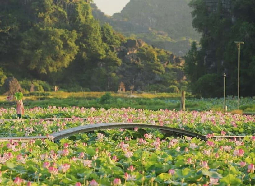 Private Ninh Binh Tour: Hoa Lu, Bai Dinh, Trang An &Mua Cave - FAQ