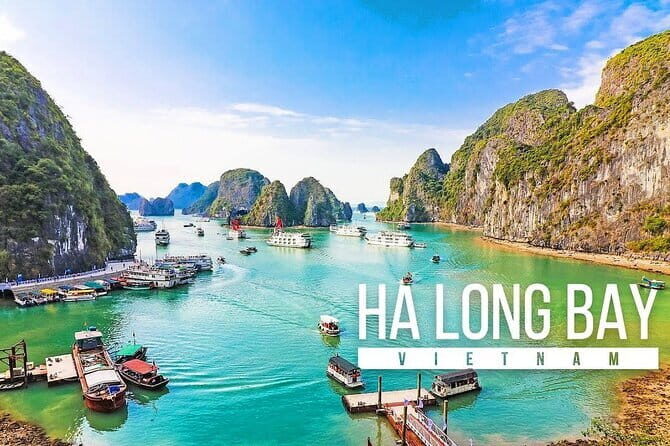 Private Ninh Binh Tours: Hoa Lu Tam Coc Mua Cave 1 Day Tour - Who Will Appreciate This Tour?