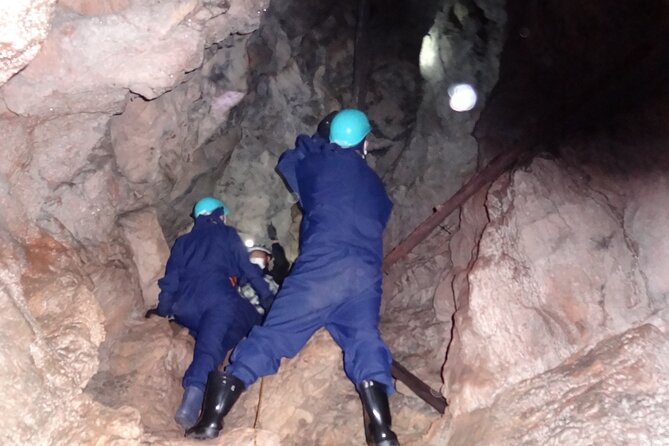 Private Ninja Training in a Cave in Hidaka - Ratings and Feedback From Previous Participants