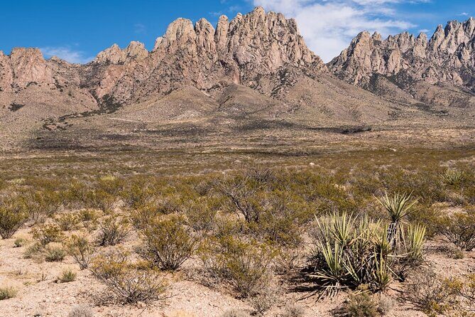 Private NM Taxi Service- Statewide - Why This Service Stands Out
