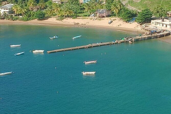 Private North Coast Day Trip - A Complete Guide to the Private North Coast Day Trip in Tobago