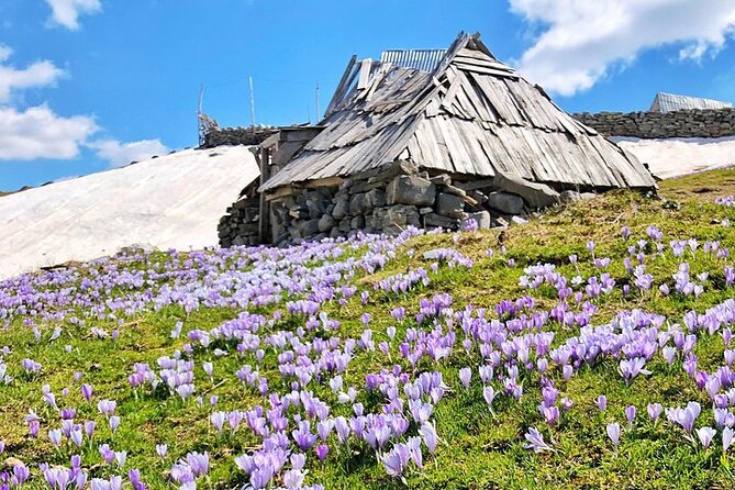 Private North Montenegro, Durmitor, Tara and Ostrog Tour - Crossroads of Nature and Engineering: Tara Bridge