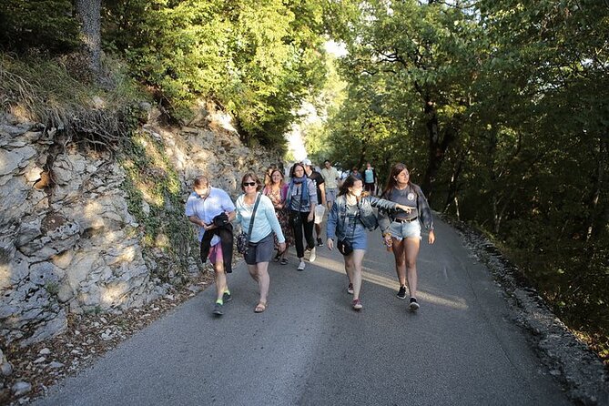 Private North Montenegro, Durmitor, Tara and Ostrog Tour - Who This Tour Is Best For