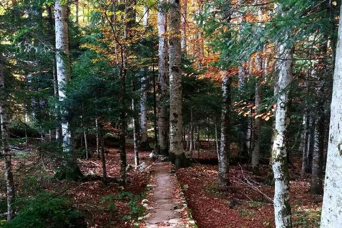 Private north Montenegro tour -Moraca River Canyon and walk trough Virgin Forest - What’s Included and What’s Not