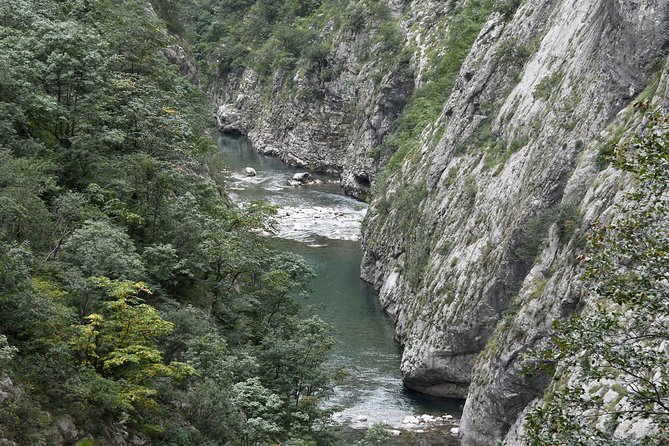 Private north Montenegro tour -Moraca River Canyon and walk trough Virgin Forest - Final Thoughts: Is This Tour Worth Your Time?