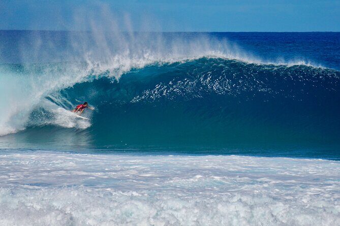 Private North Shore Oahu Tour ft. Waimea Falls-Customizable - Chance to Spot a Hawaiian Monk Seal