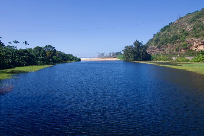 Private North Shore Oahu Tour ft. Waimea Falls-Customizable - Optional: Dole Plantation or Additional Stops