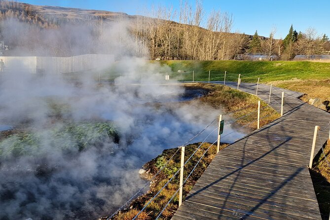 Private Northern Lights Adventure With Secret Lagoon and Dinner - An In-Depth Look at the Tour Itinerary