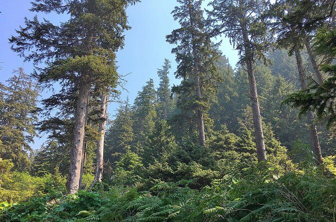 Private Northern Oregon Coast Tour - Final Thoughts: Is It Worth It?
