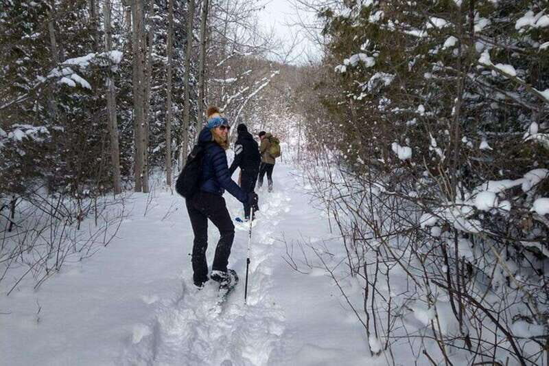 Private Nottawasaga Bluffs Caves Snowshoe-Creemore/Collingwd - Exploring the Nottawasaga Bluffs Caves on Snowshoes: An Authentic Winter Adventure