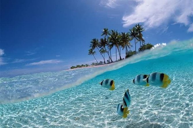 Private Nusa penida packages - FAQ