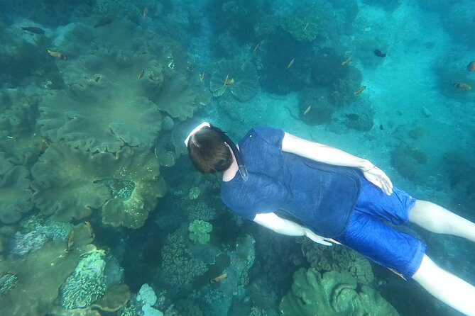 Private Nusa Penida Snorkeling Tour - Lunch at Amartera Restaurant