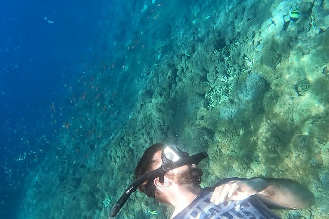 Private Nusa Penida Snorkeling Tour - Snorkeling Adventure at Manta Bay and Other Sites