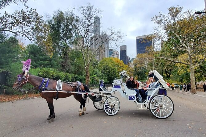 Private NYC Central Park Horse Carriage Ride (Guided) Since 1965™ - Key Points