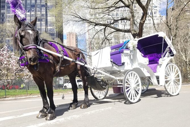 Private NYC Central Park Horse Carriage Ride (Guided) Since 1965™ - What Travelers Say: Authentic Experiences and Expert Guides