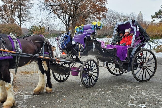 Private NYC Central Park Horse Carriage Ride (Guided) Since 1965™ - Final Thoughts: Who Will Love This Experience?