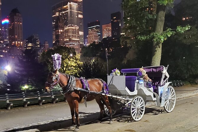 Private NYC Central Park Horse Carriage Ride (Guided) Since 1965™ - FAQ