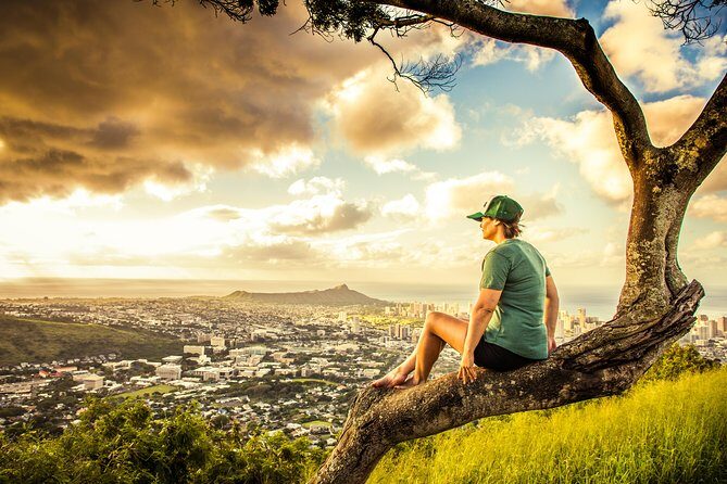 Private Oahu Circle Island Tour - Who Will Love This Tour?