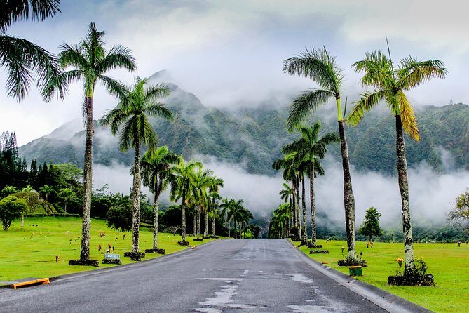 Private Oahu Circle Island Tour - FAQ: Your Practical Questions Answered