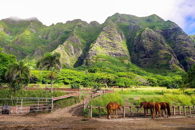 Private Oahu Full Circle Islander Tour with Pickup - Introduction