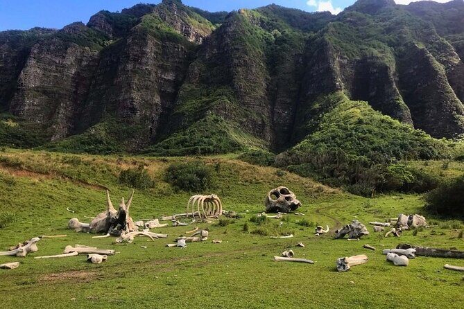 Private Oahu Photo Tour - Final Thoughts