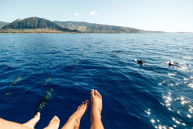 Private Oahu Sunset Charter with Tasting and Drinks - The Experience in Action