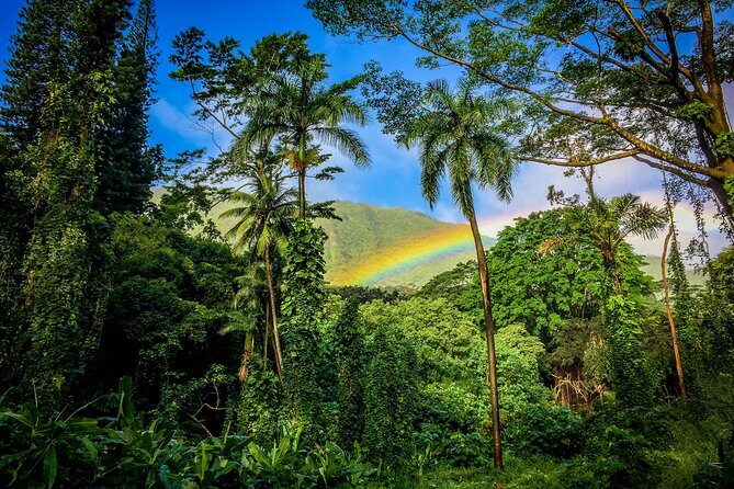Private Oahu Van Tour - The Itinerary in Detail: What You’ll Experience