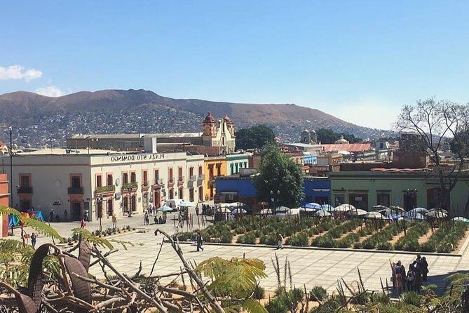 Private Oaxaca Walking Tour with Mezcal Tasting - Key Points